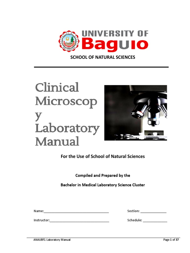 Clinical Micros | PDF | Kidney | Urine