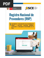 2 RNP - Inscripcion de Consultor y Ejecutor de Obras y Llenado de Formulario | PDF | Business ...