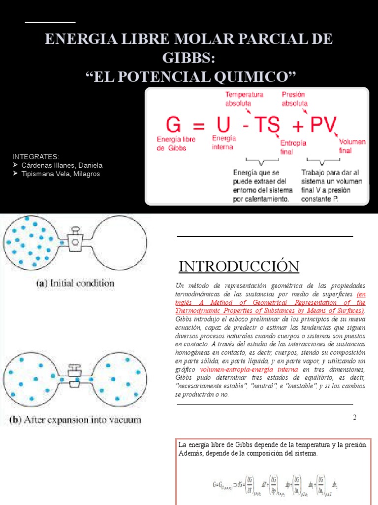 Energia Libre Molar Parcial de Gibbs-Exposicion | PDF | Equilibrio químico | Energía libre de Gibbs