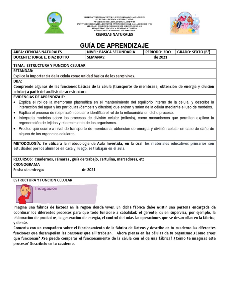 Guía 2 - Estructura y Funcion Celular | PDF | Citoplasma | Biología ...