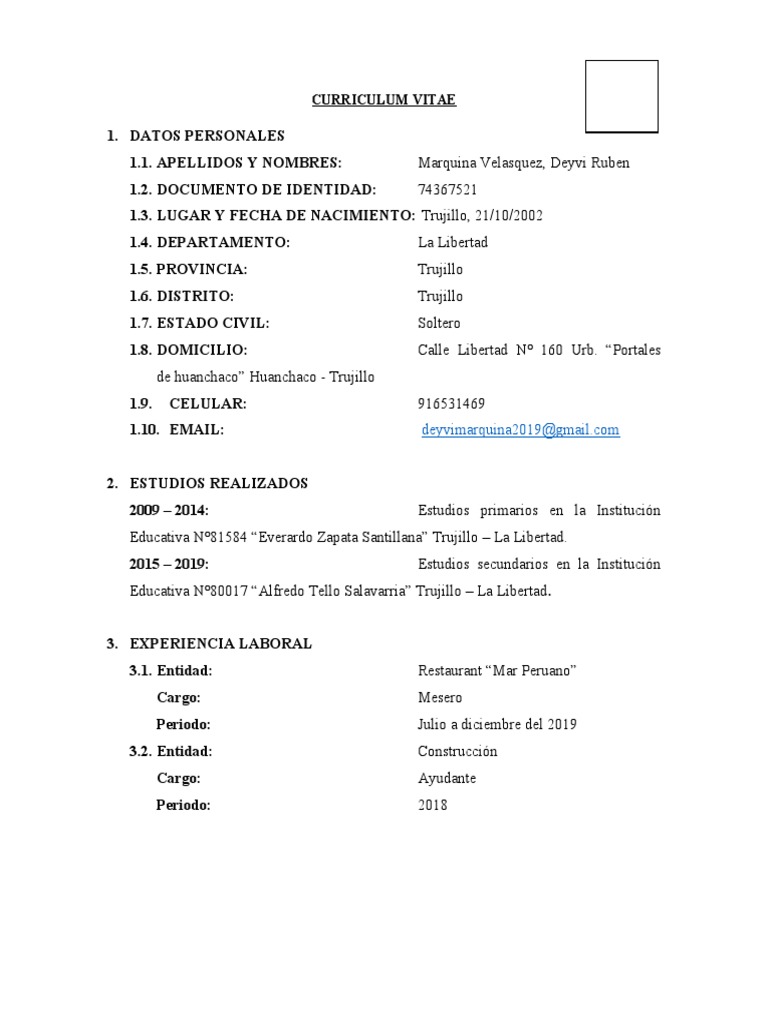 Curriculum Vitae Deyvi | PDF