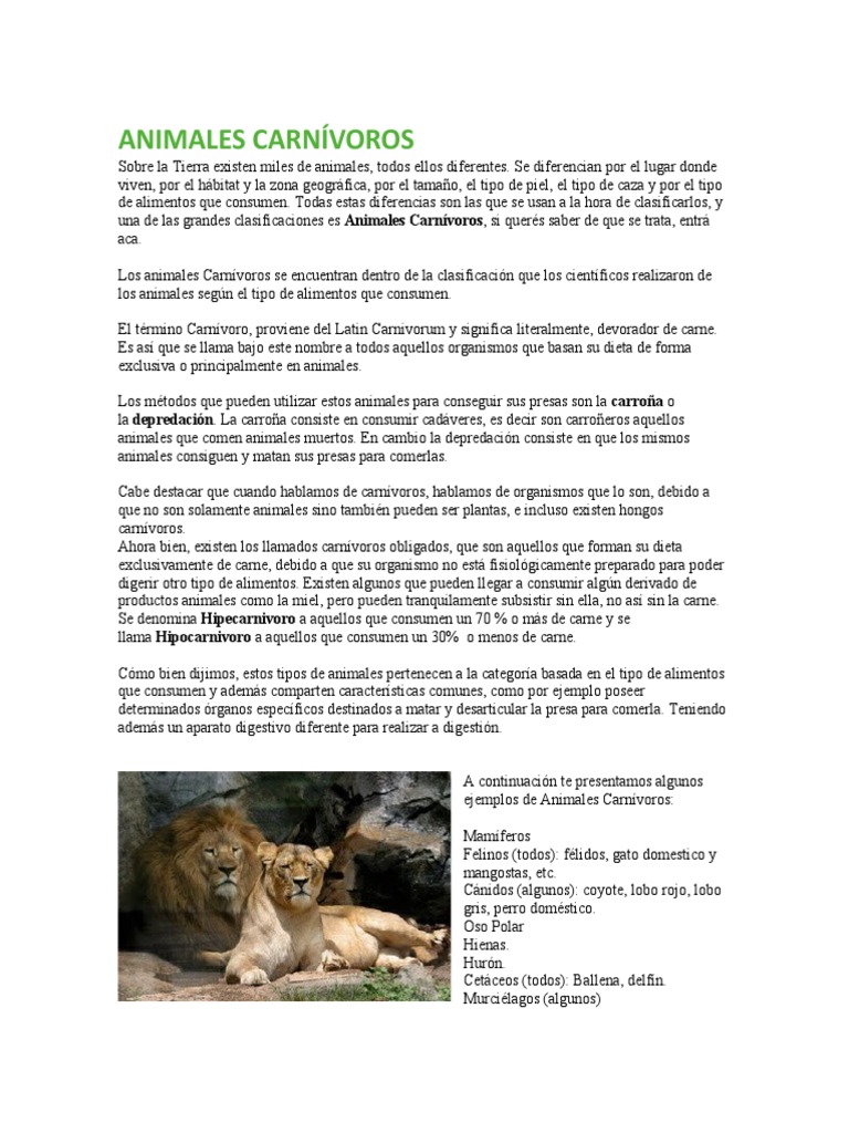 Definición y ejemplos de carnívoros | PDF | Carne | Organismos