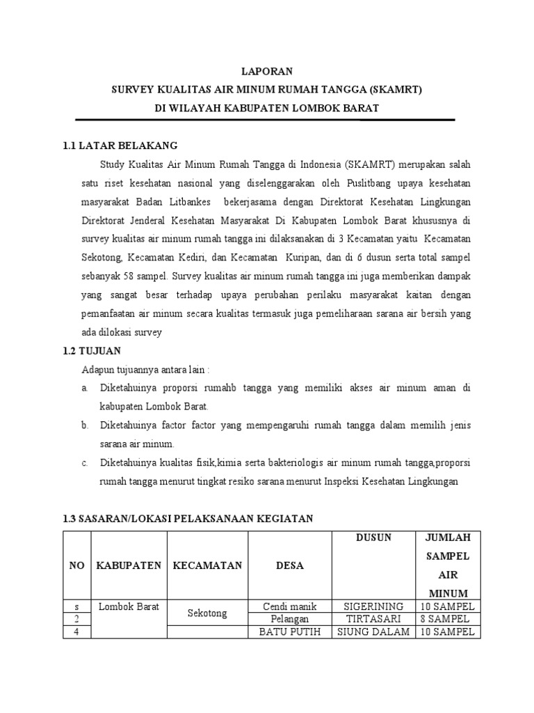 Laporan Survey Skamrt | PDF