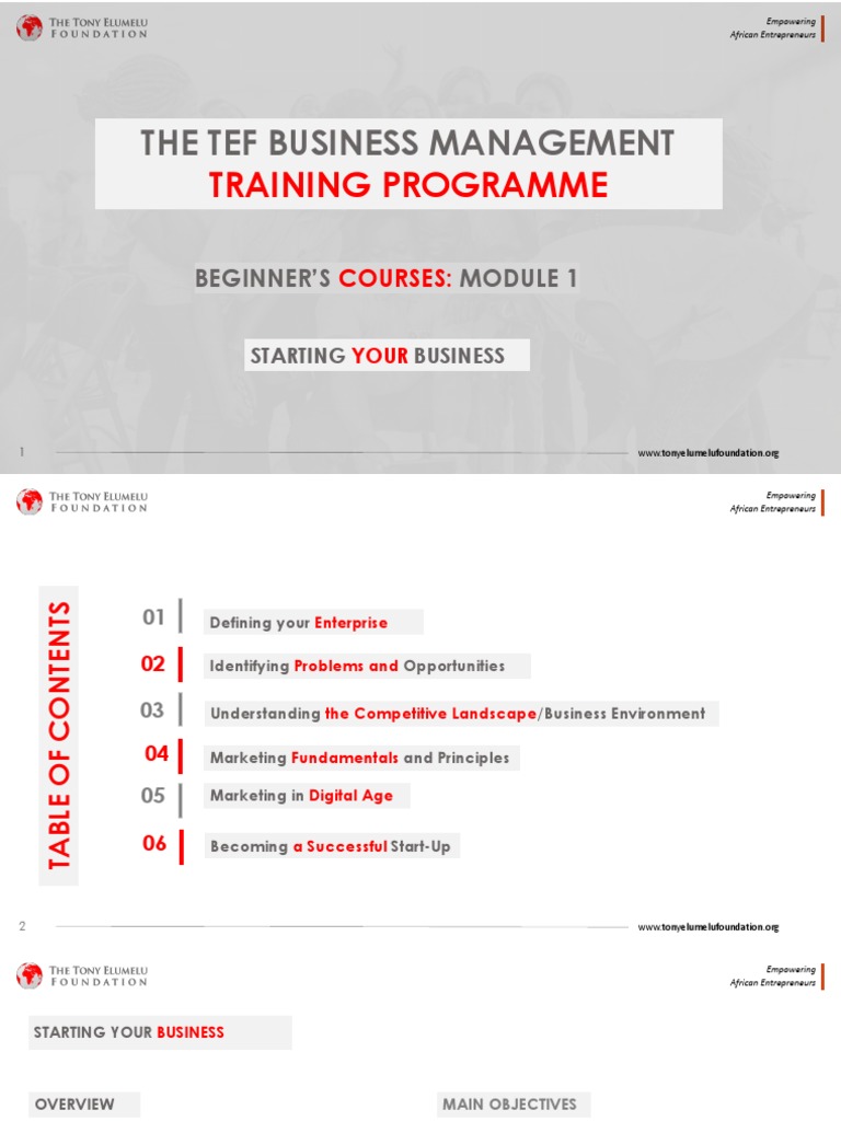 Beginners Module 1starting Your Business 1 | PDF | Market Segmentation ...