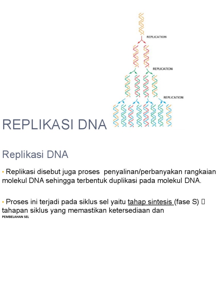 MEMAHAMI PRINSIP REPLIKASI DNA | PDF