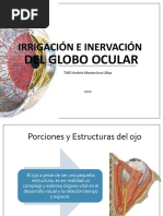 Cápsula de Tenon: Anatomía y Tenonitis | PDF | Ojo humano | Ojo