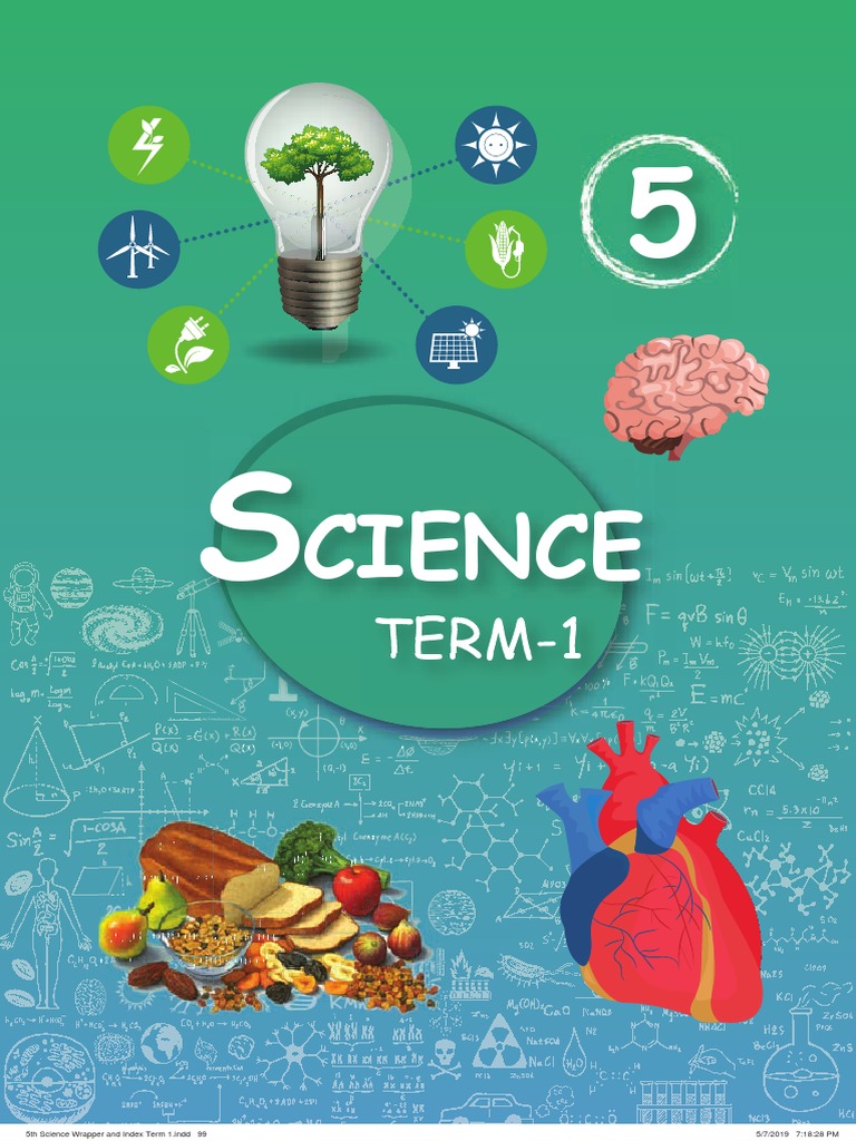 Standard Five Term - Science | PDF | Respiratory Tract | Human ...