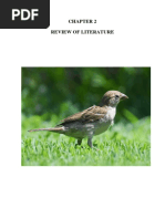 Skill O Rama Procedures and Guidelines | PDF | Knot