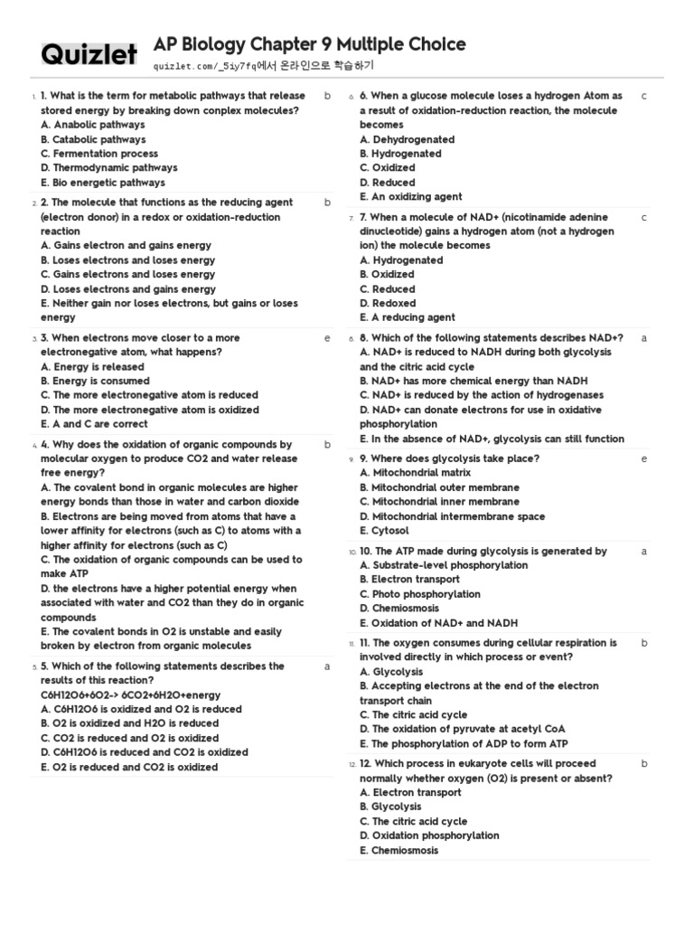AP Biology Chapter 9 Multiple Choice | PDF | Adenosine Triphosphate ...