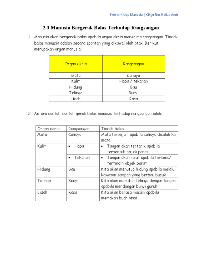 NOTA Manusia Bergerak Balas Terhadap Rangsangan | PDF | Pengembangan ...