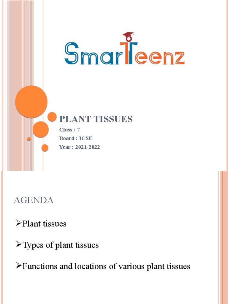 Plant Tissues: Class: 7 Board: ICSE Year: 2021-2022 | PDF | Tissue ...