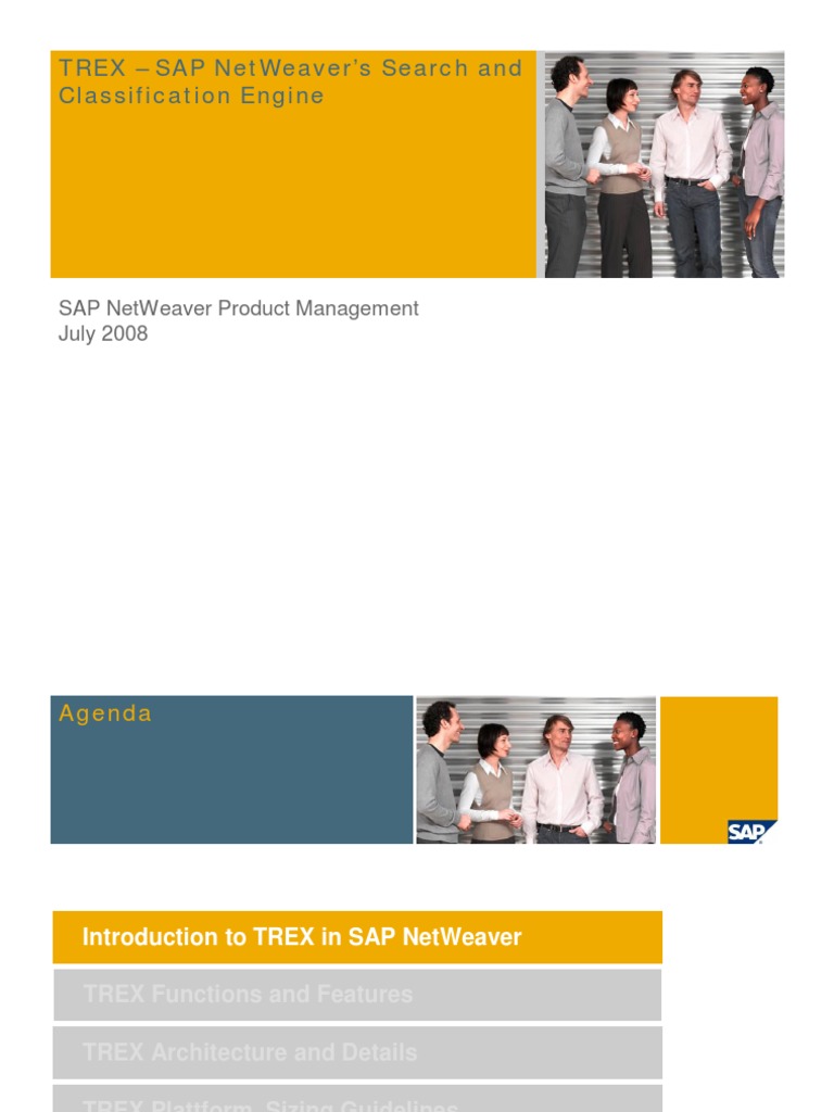 Trex - Sap Netweaver'S Search and Classification Engine | PDF | Search ...