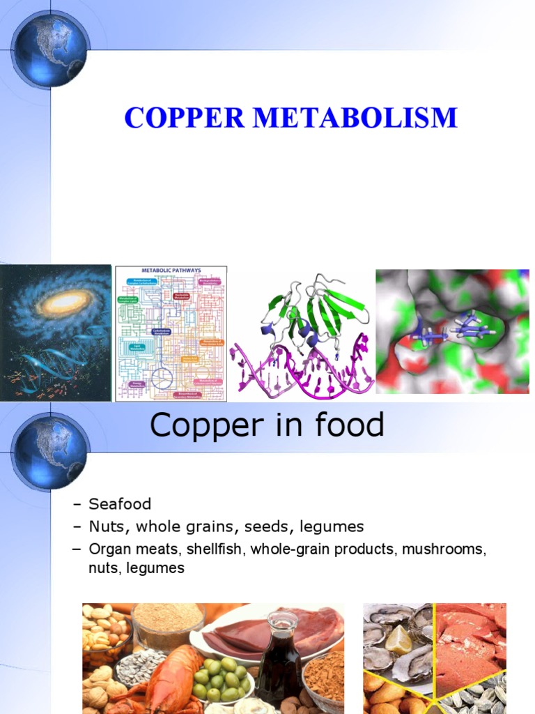 Copper Metabolism | PDF | Copper | Metabolism