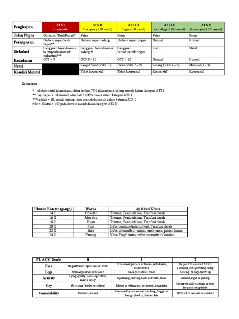 ATS Triage Priority Levels | PDF | Face