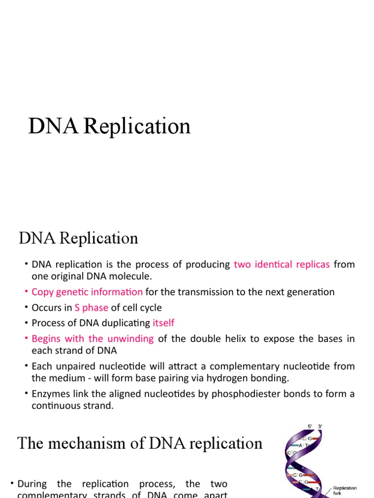 Mode of Dna Replication | PDF | Dna Replication | Dna