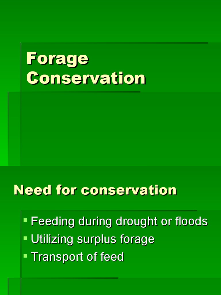 Lecture 13 Forage Conservation | PDF | Hay | Agriculture