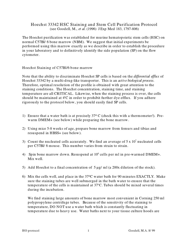 Hoechst 33342 HSC Staining and Stem Cell Purification Protocol | PDF ...