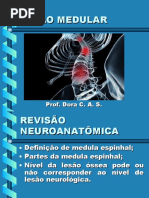 A Escala ASIA para Lesão Medular - o Guia Do Fisioterapeuta | PDF ...
