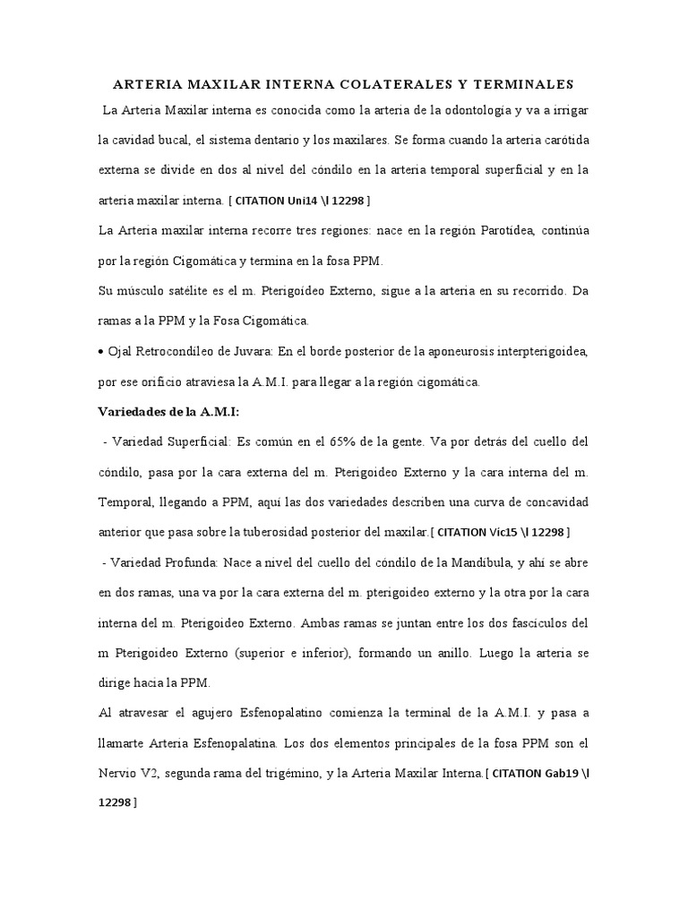 Arteria Maxilar Interna Colaterales y Terminales | PDF | Anatomía ...