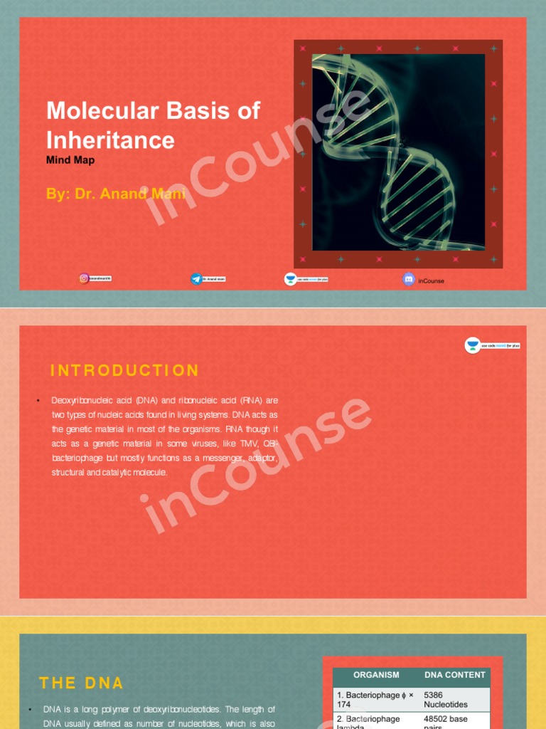 Molecular Basis of Inheritance: By: Dr. Anand Mani | PDF | Operon | Translation (Biology)