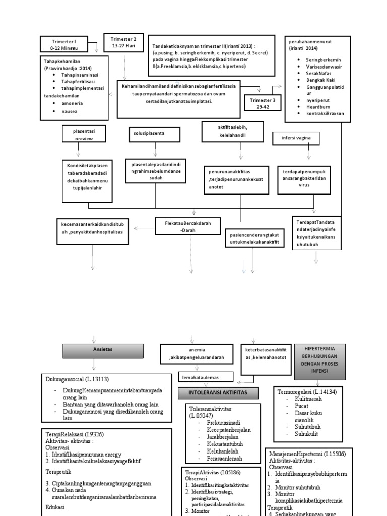 Pathway Kehamilan dan Anc Ibu Hamil | PDF