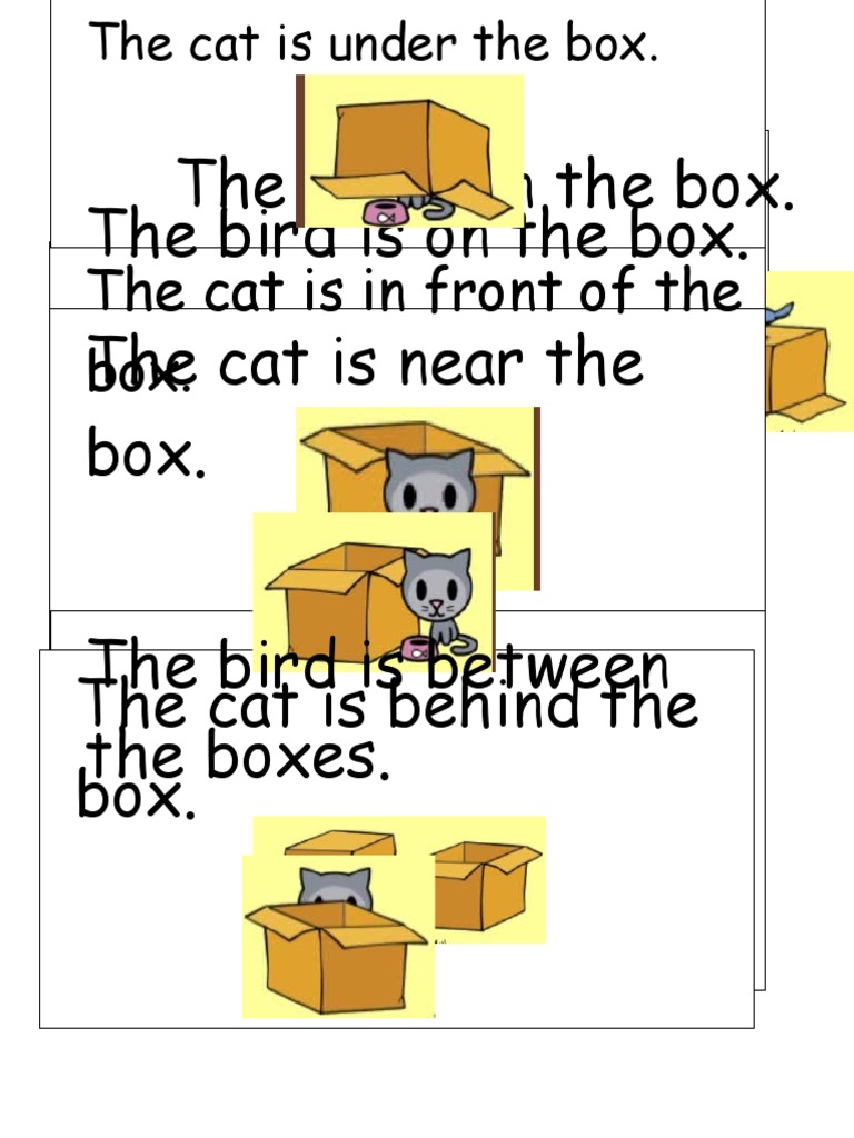 The Cat Is in The Box. The Bird Is On The Box. The Cat Is Near The Box ...