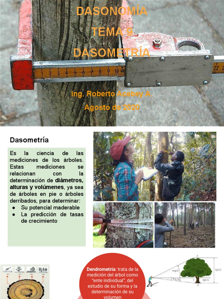 Dasometria (Tema 9) | PDF | Medición | Los bosques