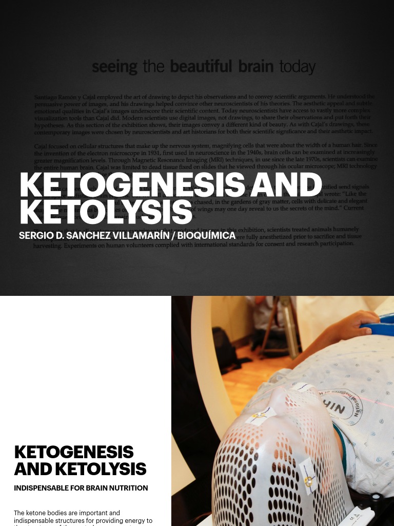 Ketogenesis and Ketolysis Explained | PDF | Adenosine Triphosphate ...