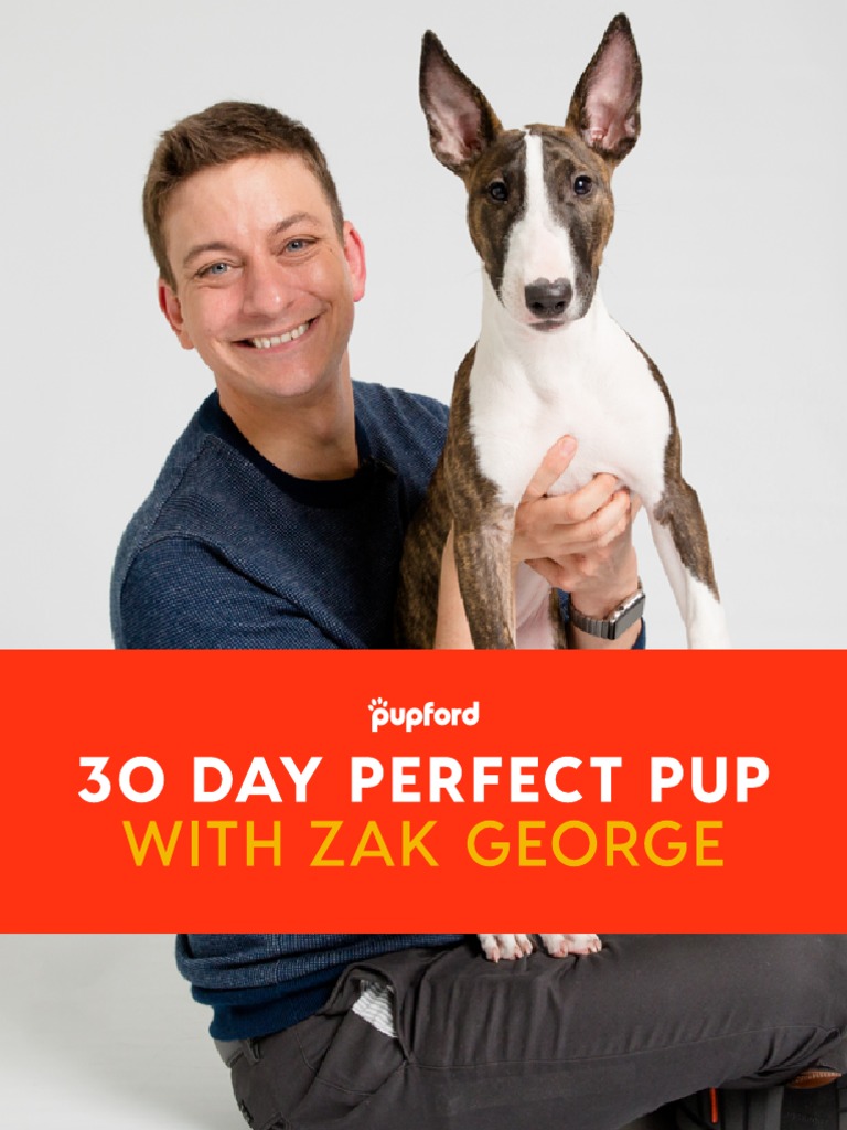 30 Day Perfect Pup With Zak George | PDF | Dog Training | Leash