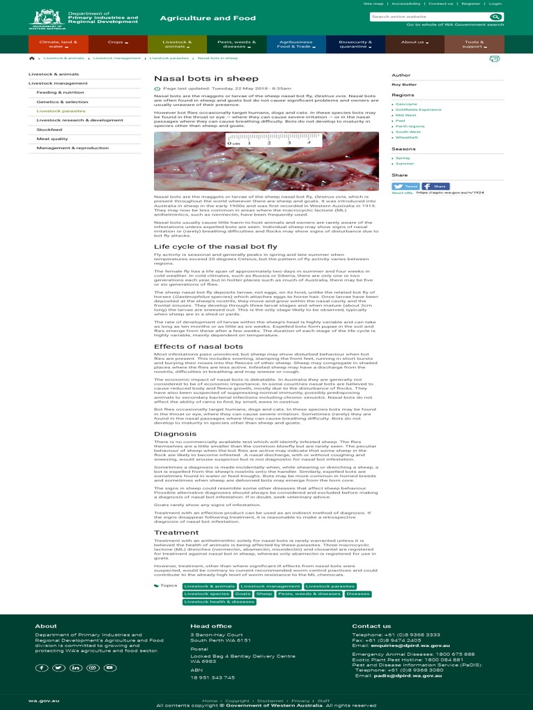 Nasal Bots in Sheep - Agriculture and Food | PDF | Sheep | Livestock