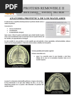 Procedimiento de Enfilado, Encerado, Enmuflado y Acrilizado. | PDF ...