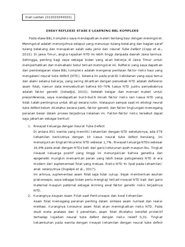 Essay Refleksi Dian Lestari | PDF