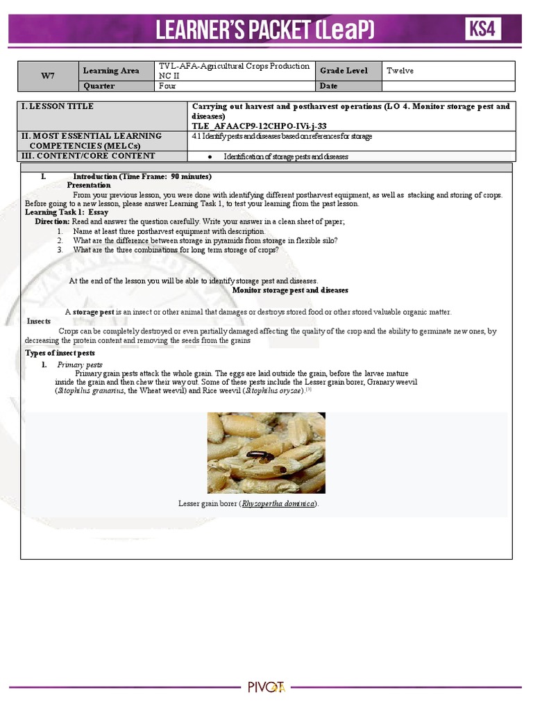 TVL-AFA-Agricultural Crops Production NC Ii Twelve Four: I ...