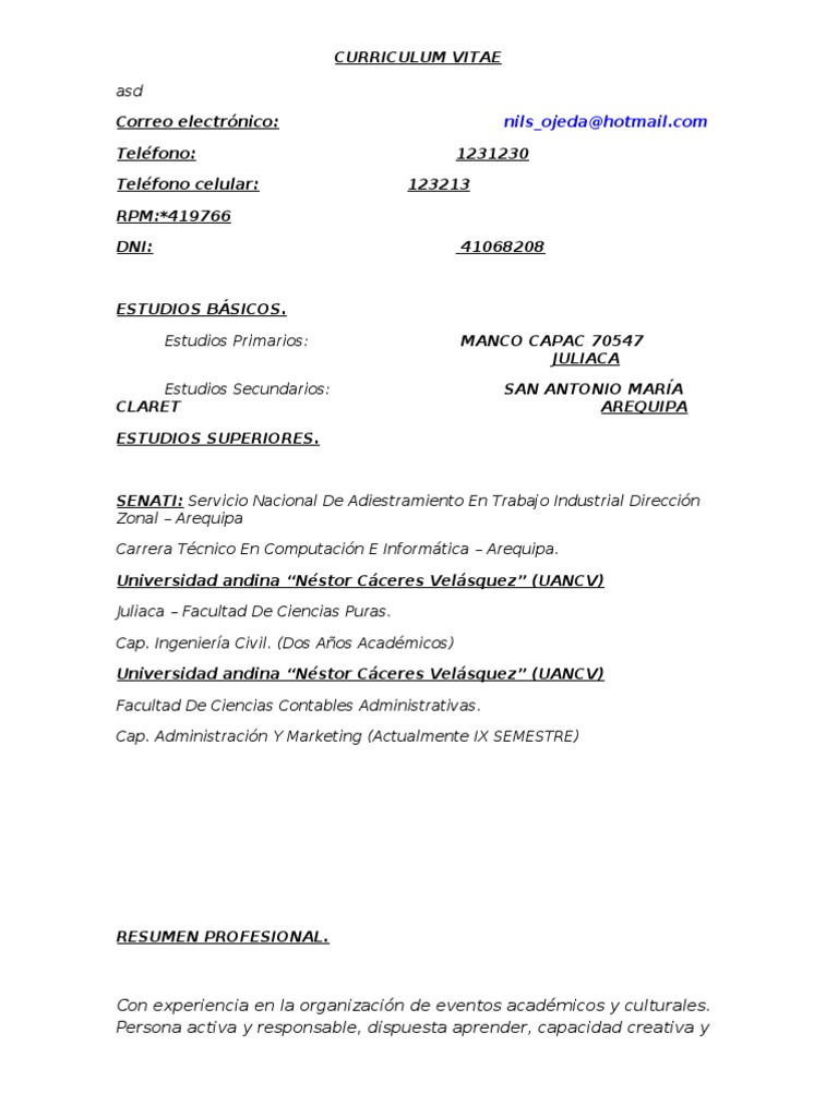 Curriculum Nils - Dni | PDF | Marketing | Economias