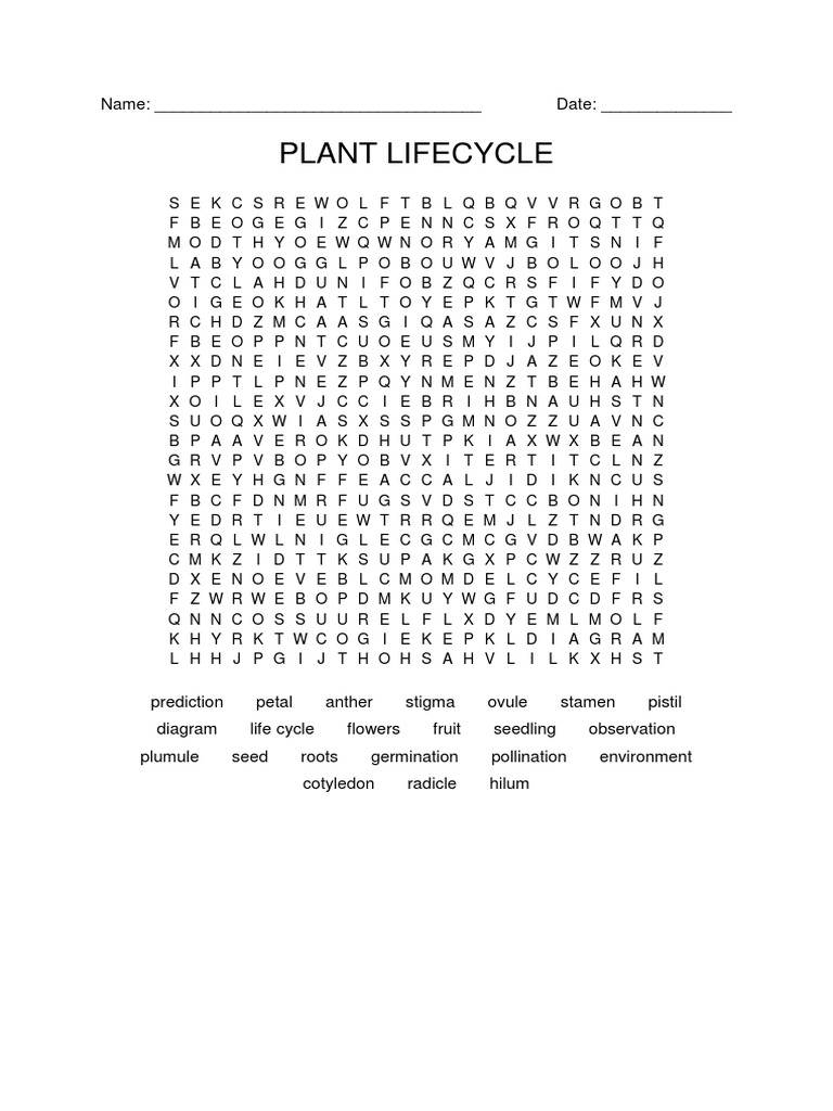 Plant Life Cycle (Word Search) | PDF | Seedling | Horticultural Techniques