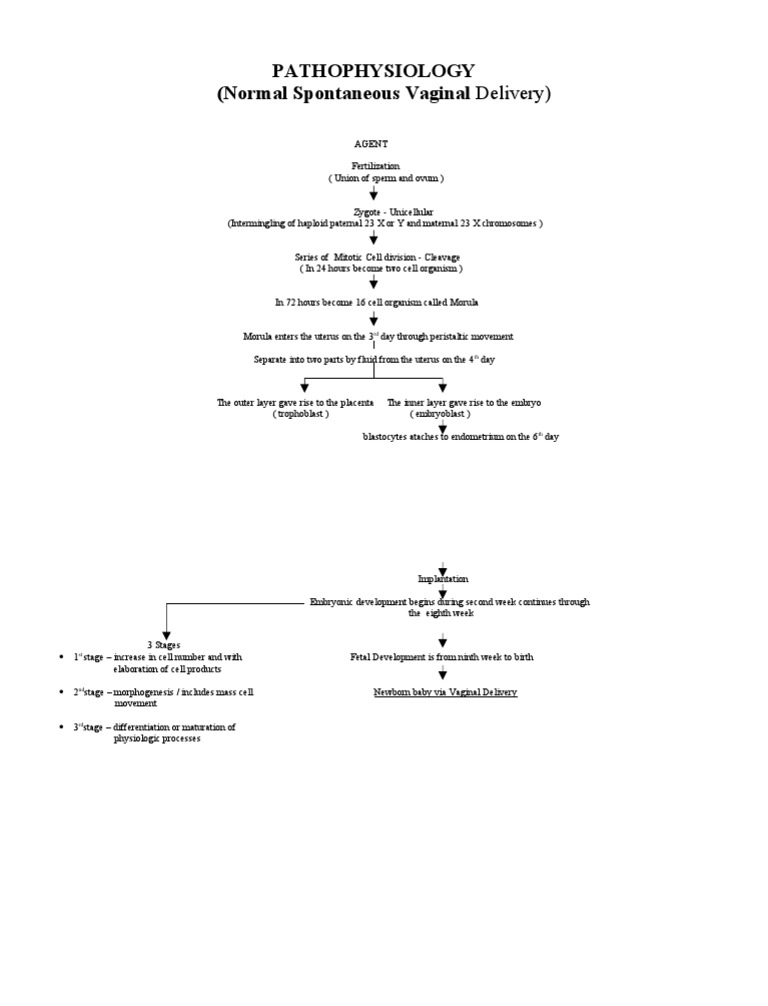 Pathophysiology of NSD | PDF | Social Science