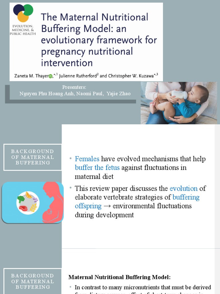 The Maternal Nutritional Buffering Model | PDF | Placenta | Fetus