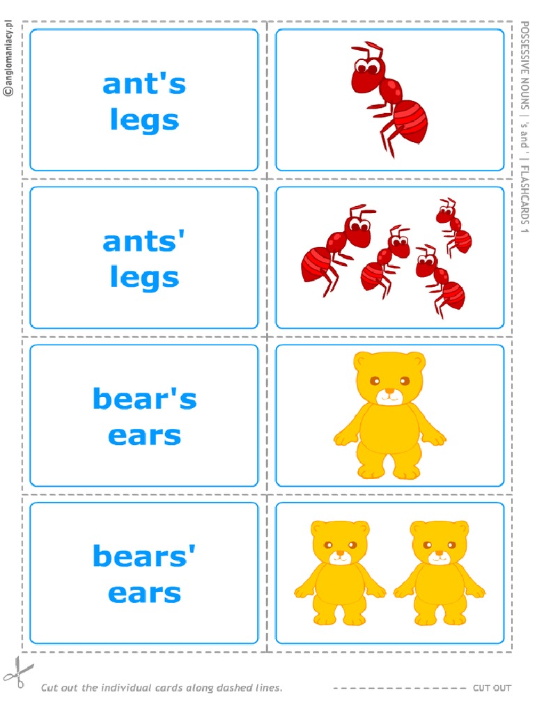 Nouns Possessive Flashcards - 1 | PDF