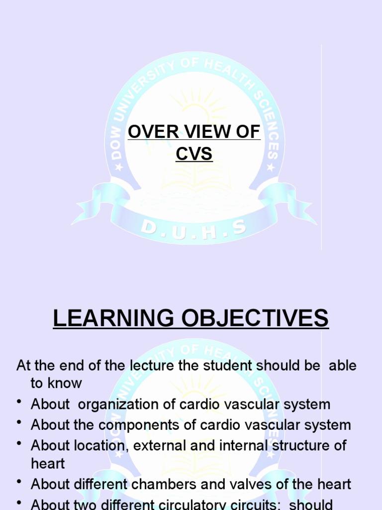 Overview of the Cardiovascular System | PDF | Circulatory System ...