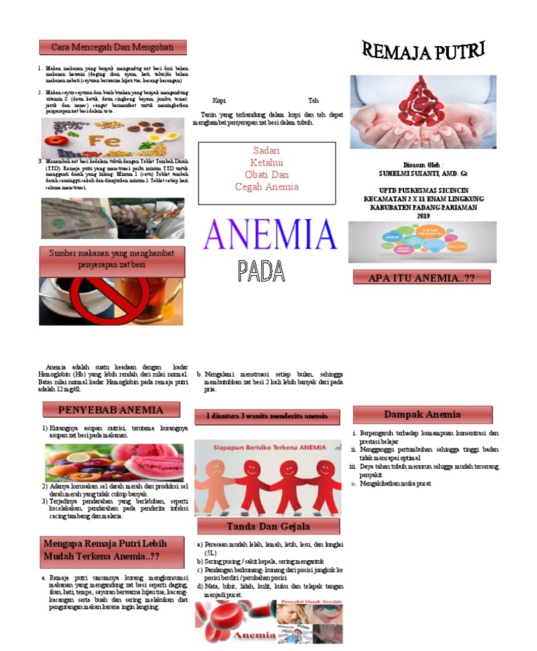 Leaflet Anemia Ok | PDF