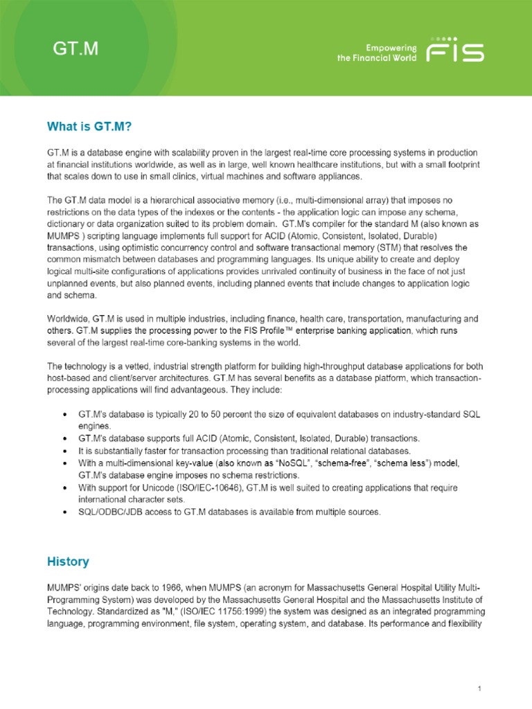 What Is GT.M | PDF