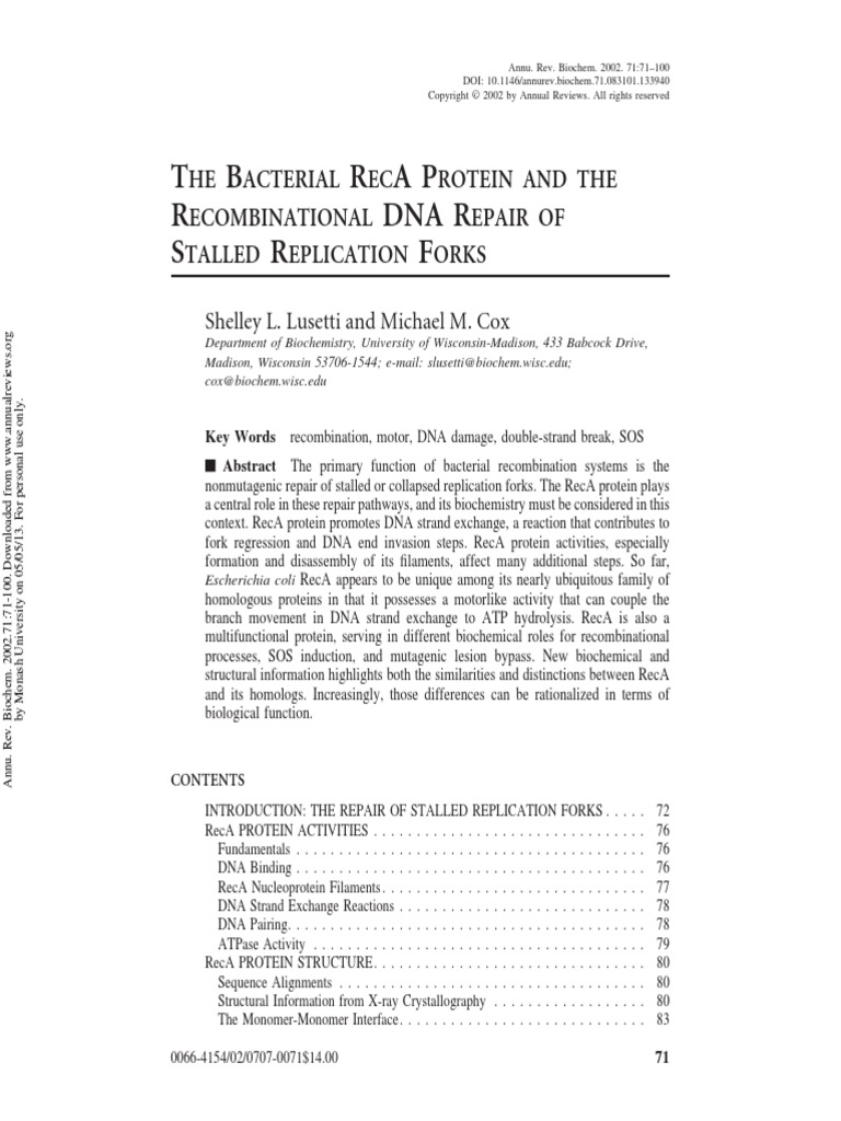 The Bacterial RecA Protein and Recombinationlal Dna Repair of Stalled ...