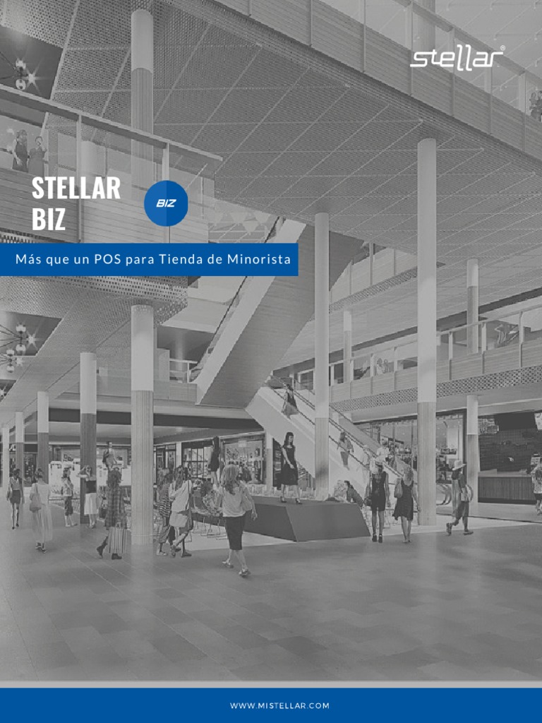 Stellar para Tienda de Retail | PDF | Bancos | Cliente