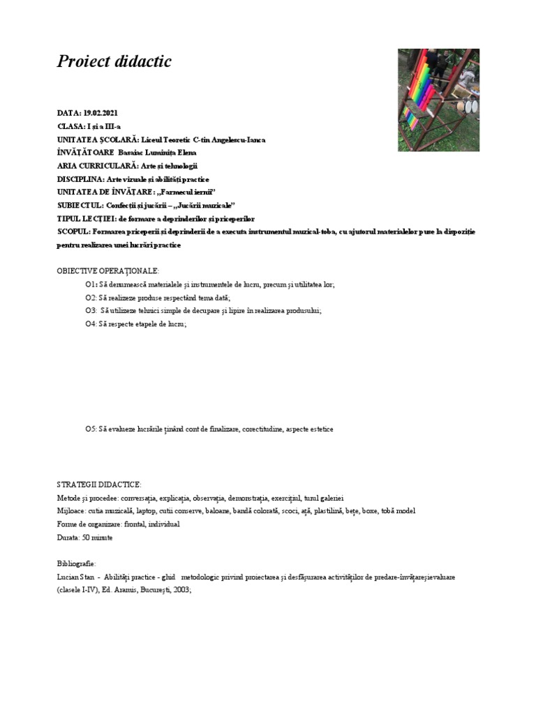 Proiect Didactic, Avap, 19.02.2021 | PDF