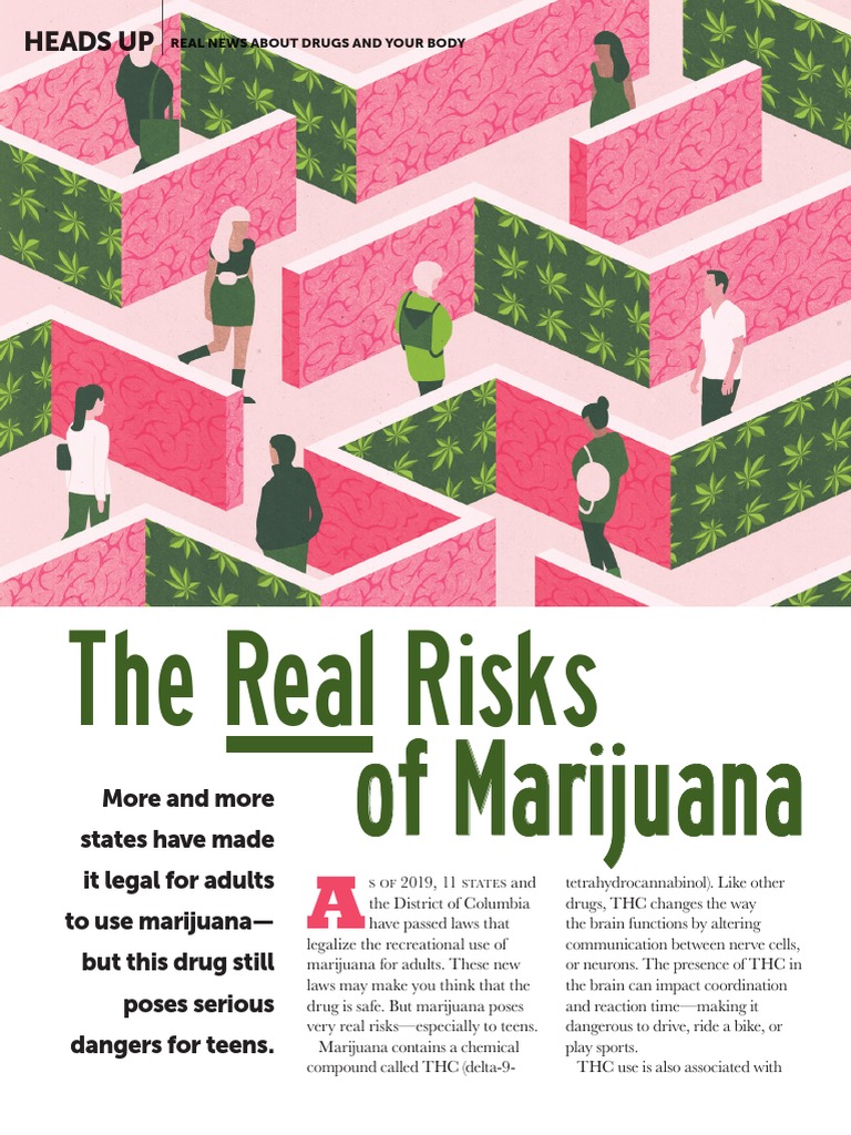 The Real Risks of Marijuana | PDF | Cannabis (Drug) | Adolescence