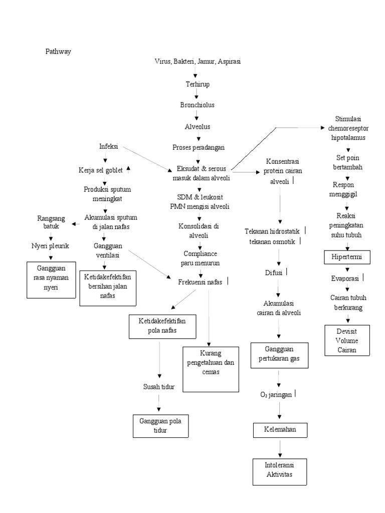 Pathway Pneumonia | PDF