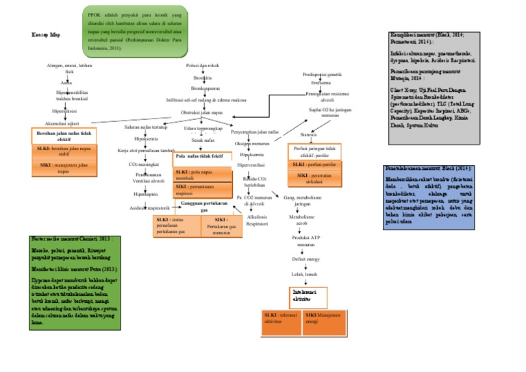 Afifah Nur'aini M - J230205030 - Mind Map Ppok | PDF