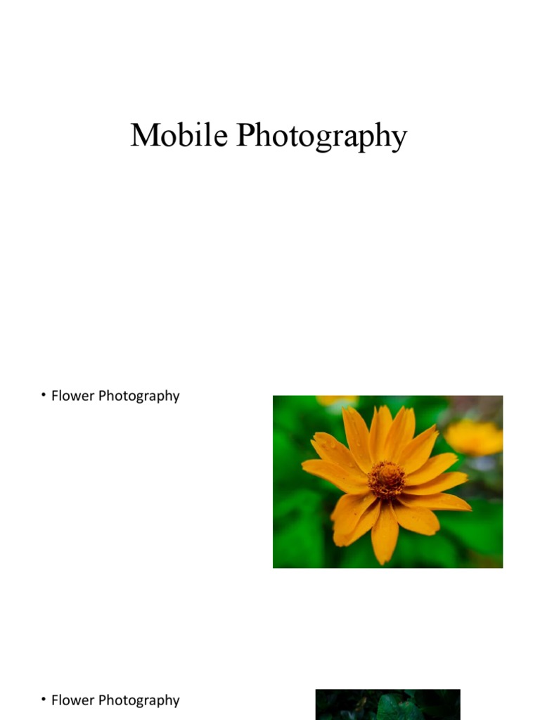 Mobile Photography | PDF