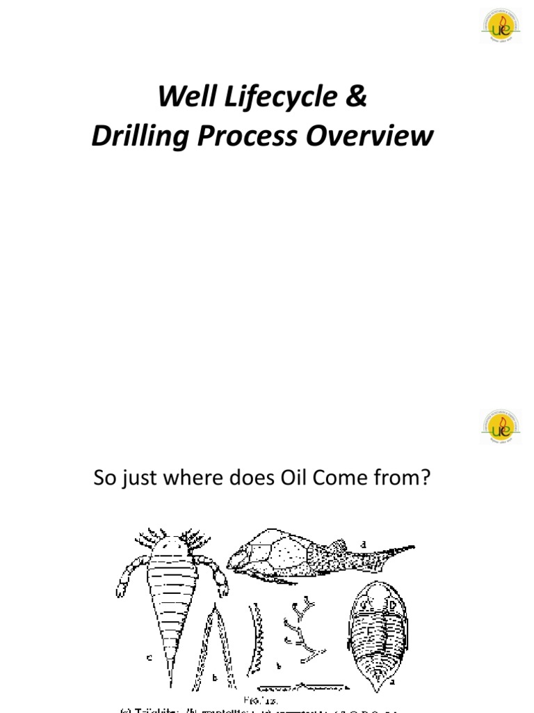 L1-Well Life Cycle - Done 19jan | PDF | Casing (Borehole) | Oil Well