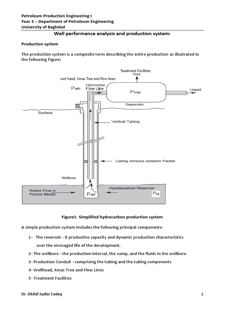 Well Performance Analysis and Production System | PDF | Petroleum ...